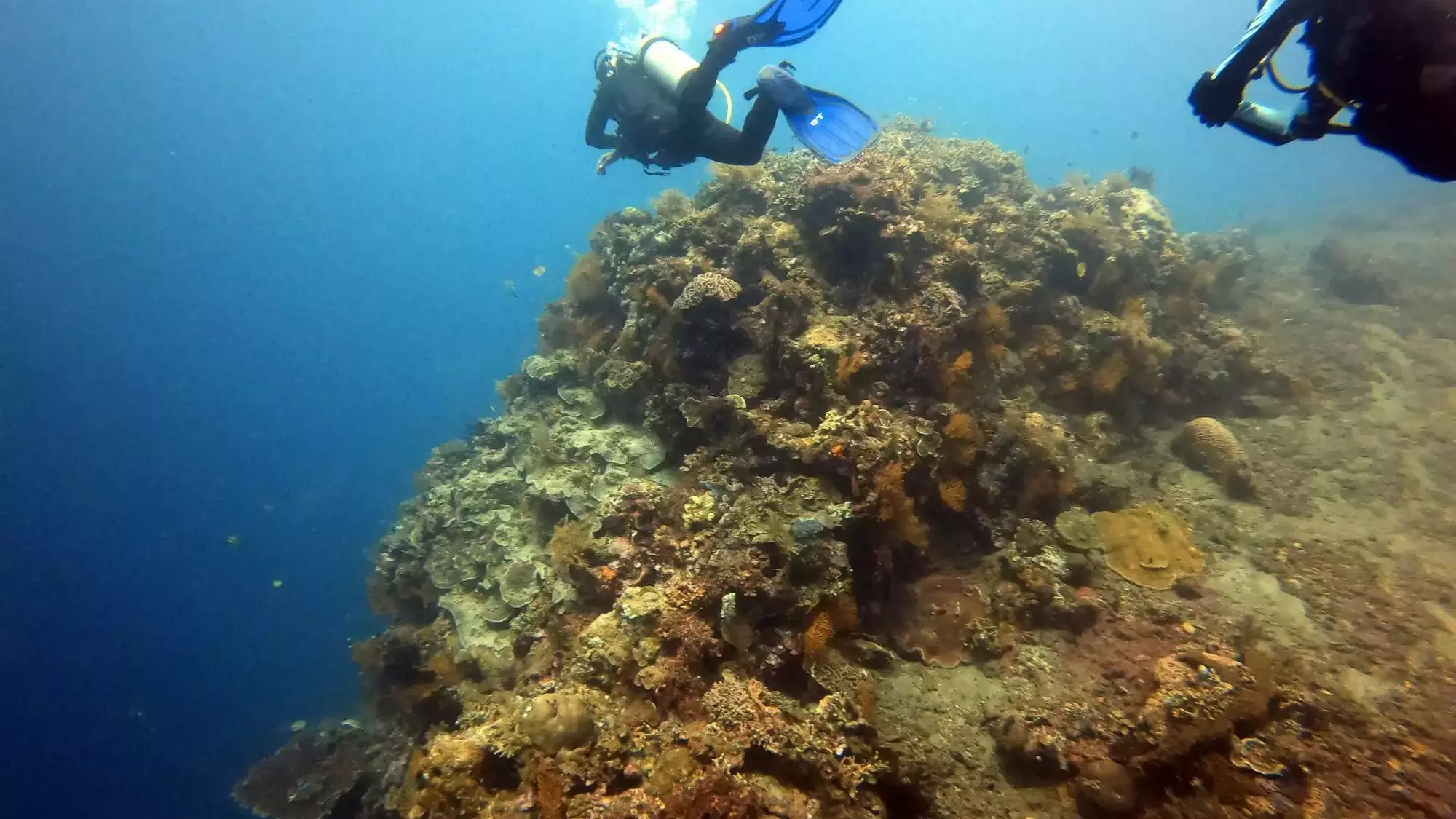 Fluid Dynamics: A Guide for Scuba Pros - The Diving Academy